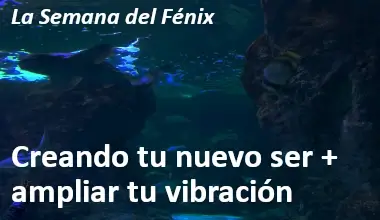 Go Discover Agenda – Cesar Arellano Landing Pages